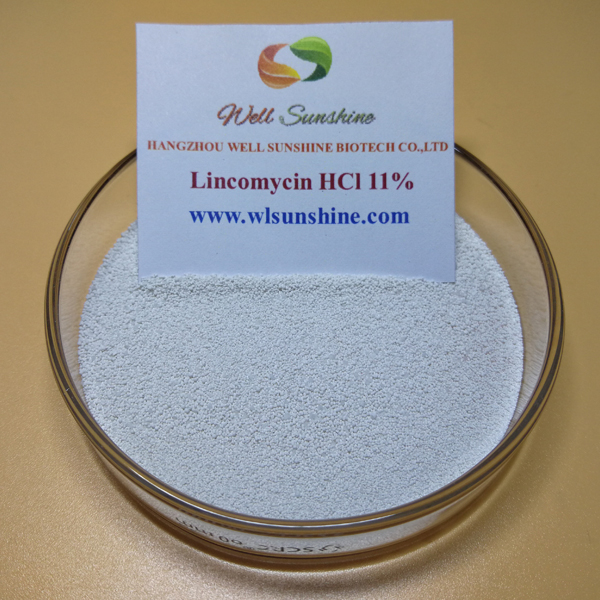 Lincomycin HCl 11%