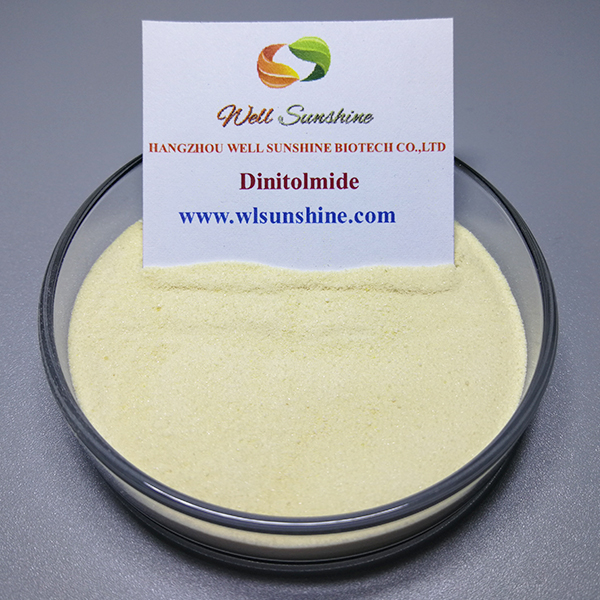 Dinitolmide