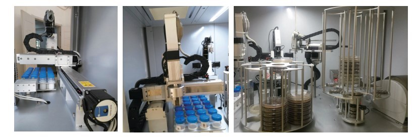 Microbial sample pretreatment system