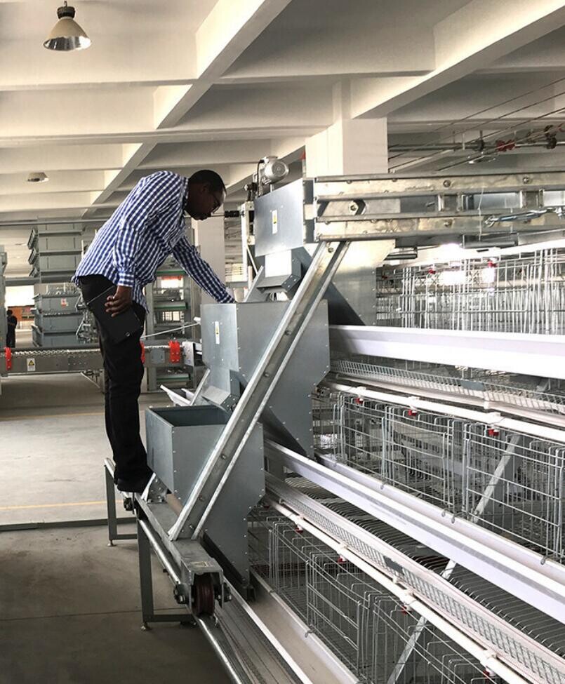 broiler cage,broiler battery cage,poultry battery cage