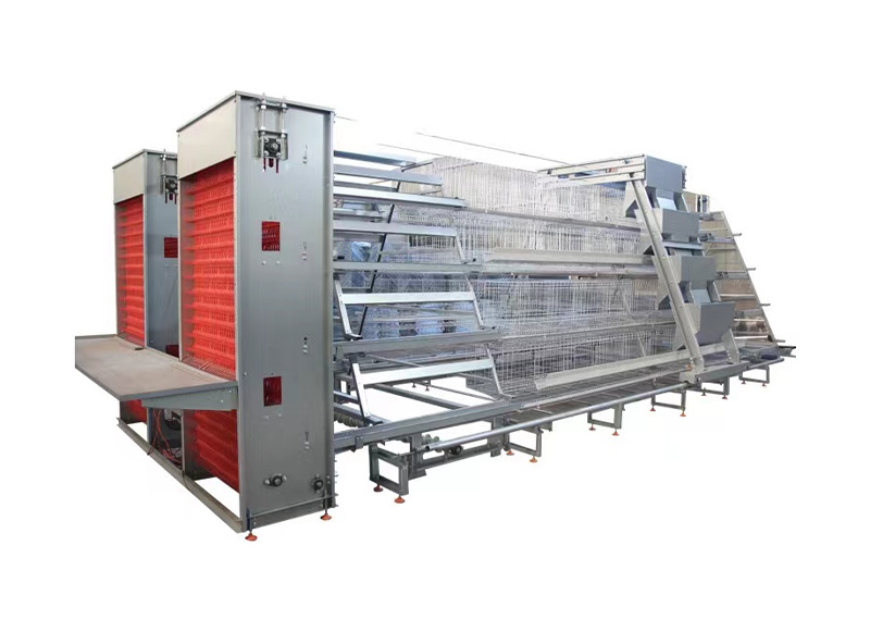 Egg laying chicken rearing system,Pullet rearing system,Broiler rearing ...