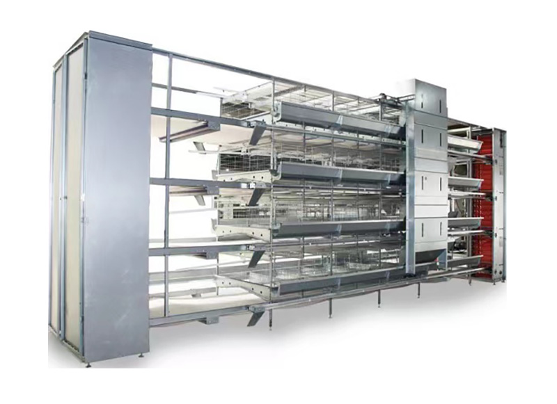 Egg laying chicken rearing system , Pullet rearing system , Broiler ...