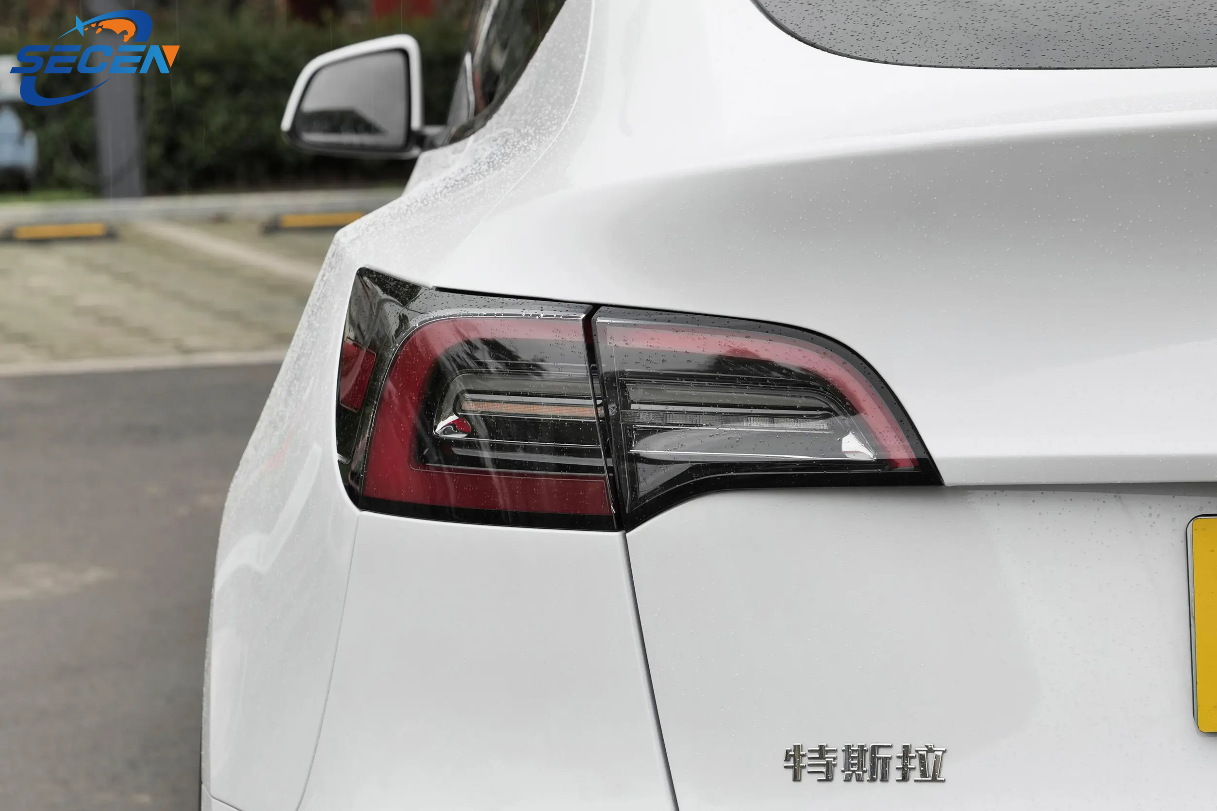 Tesla Model Y 2024 rear-wheel drive version-Общество с ограниченной ...