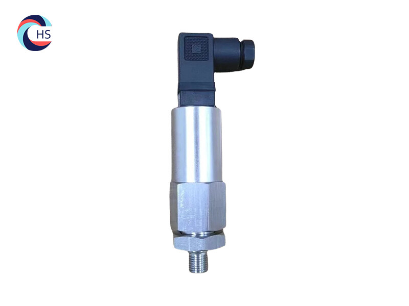 HS-229-Shanghai HS Industrial Co., Ltd.